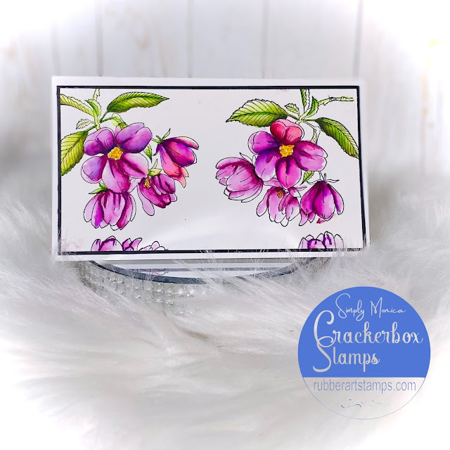Apple Blossom - Crackerbox Stamps