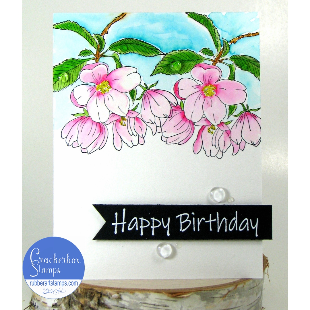 Apple Blossom Birthday Card - Crackerbox Stamps