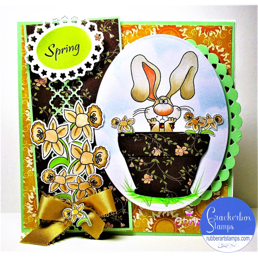 Spring Bunny Card
