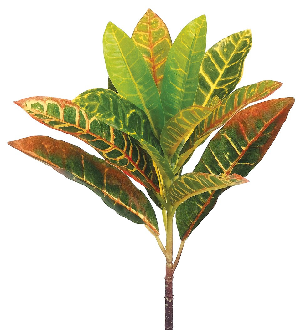 13" Croton Spray Yellow Green