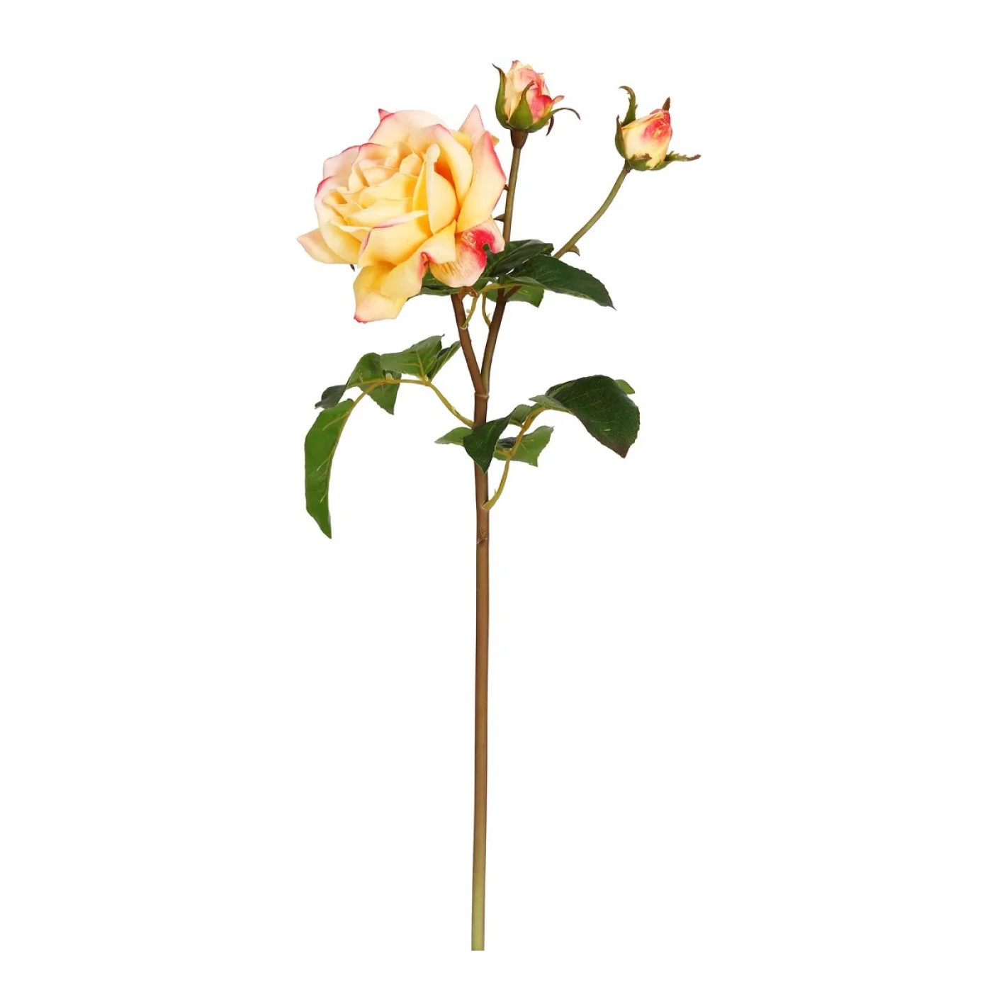 FloraDec | Hawaii's leader in floral, craft, wedding, & needlework supplies