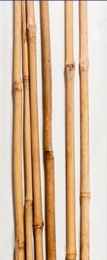Bamboo Stake 36" Natural Bd25