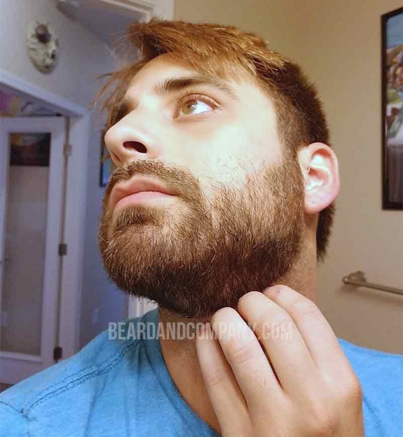 The 9 Best Beard Growth Products that Grow Your Beard Faster - Beard ...
