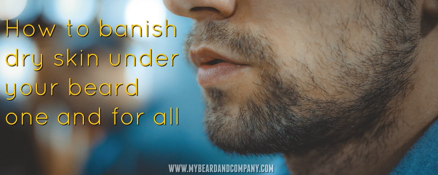 The Best Beard Grooming Tips: How to Avoid Dry Skin with Beard Shampoo ...