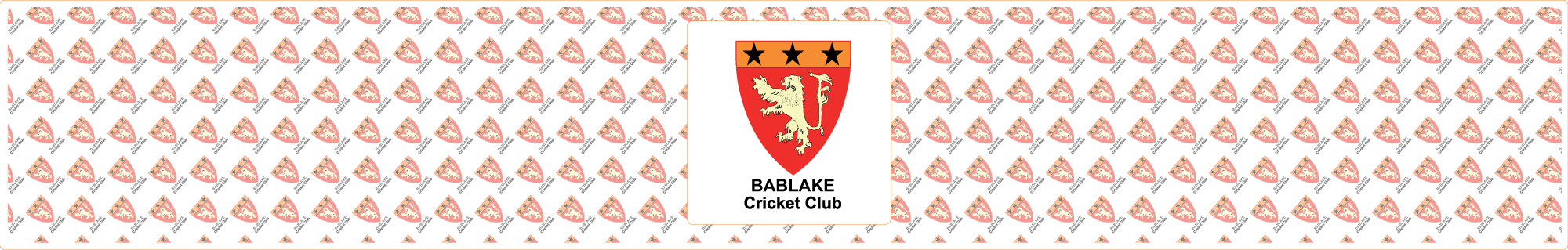 Find Your Club - Bablake CC - NX Teamwear