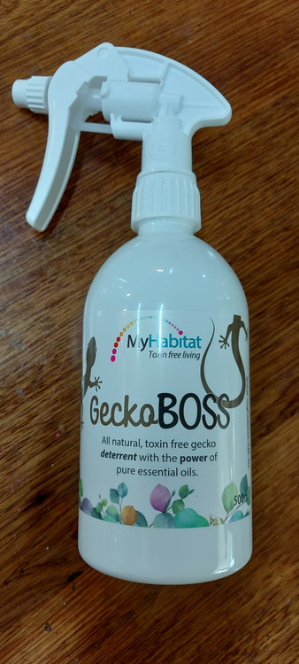 Gecko Boss Spray Bottle 500ml - My Habitat - Organic & Natural Store