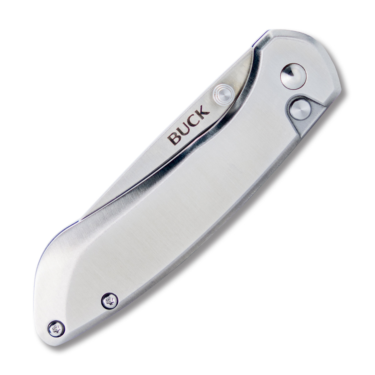 Buck Mini Sovereign Folding Knife Stainless 2.625in Clip Point