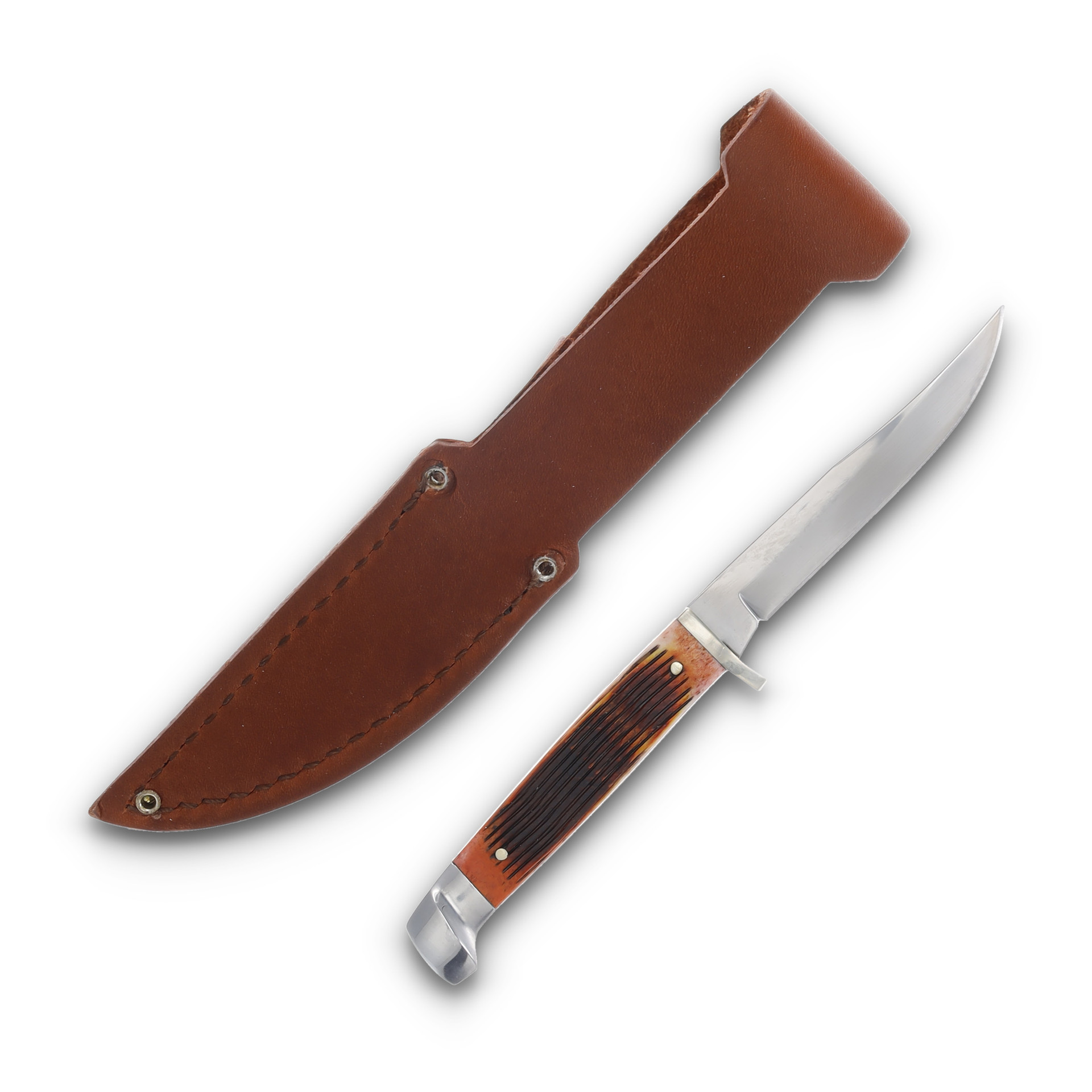 Queen USA Amber Winterbottom Bone Small Hunter Fixed Blade Knife QAWB63 ...