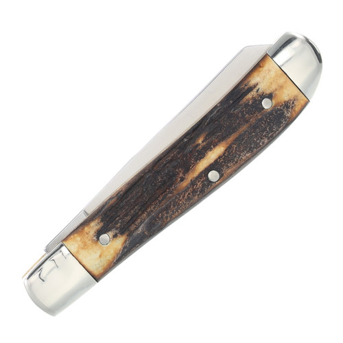 Queen Genuine Stag 3.5in Mini Trapper