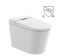 Crown Toilets | Buy Crown Toilets West Palm Beach