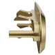 Colore Oval Brushed Brass Basin Overflow Insert - Wholesale Domestic