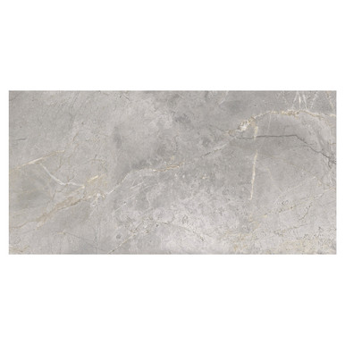Masterstone Polished Silver 60cm x 120cm Porcelain Wall and Floor Tile ...
