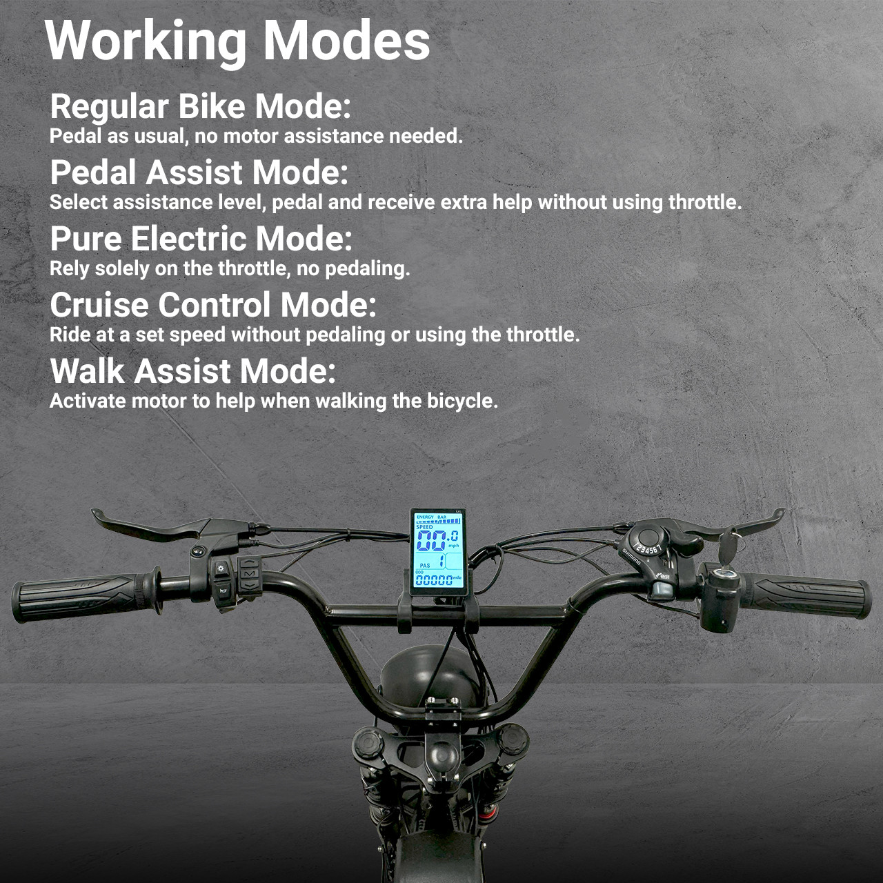 Zeda Beartooth Fat Tire Electric All Terrain Bike