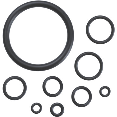Swissmex Acetone Replacement O-Ring Kit | Sprayer Parts