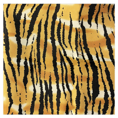 Tiger Pocket Square - Jacob Alexander