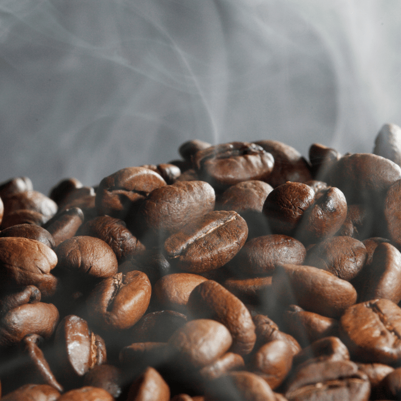Best Coffee Beans 101 - Sky Mountain Coffee