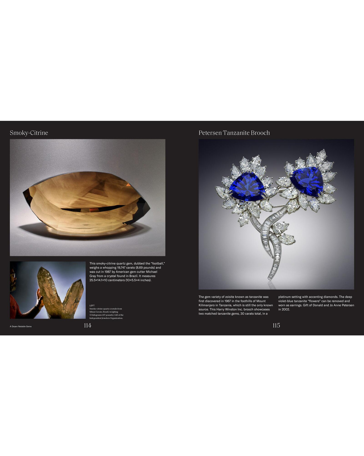 The Smithsonian National Gem Collection Unearthed | Shop Smithsonian Store