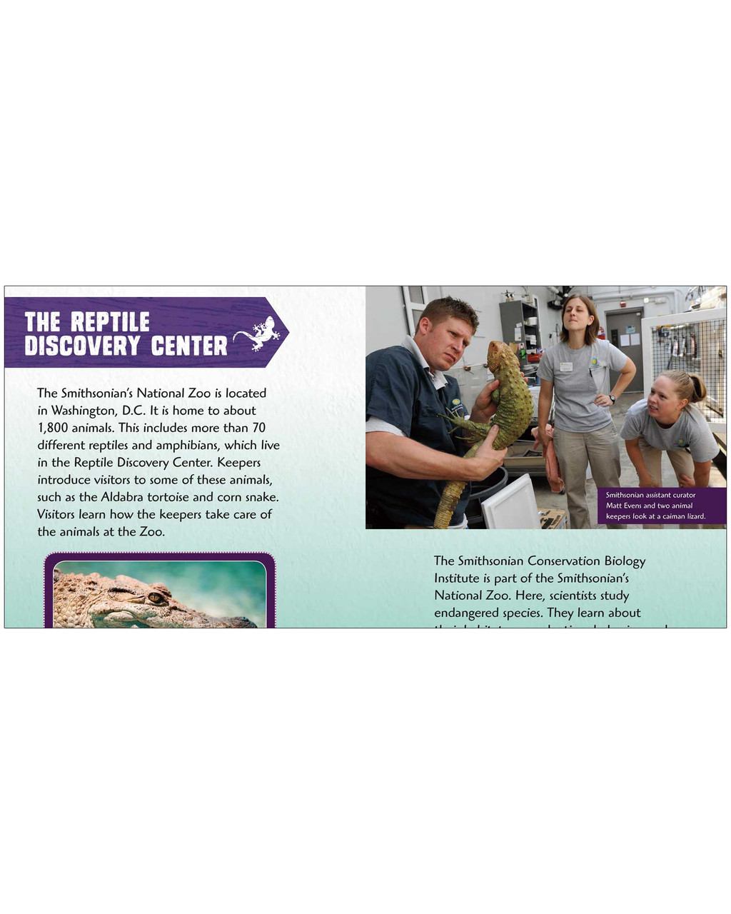 Reptiles: A 4D Book | Shop Smithsonian Store