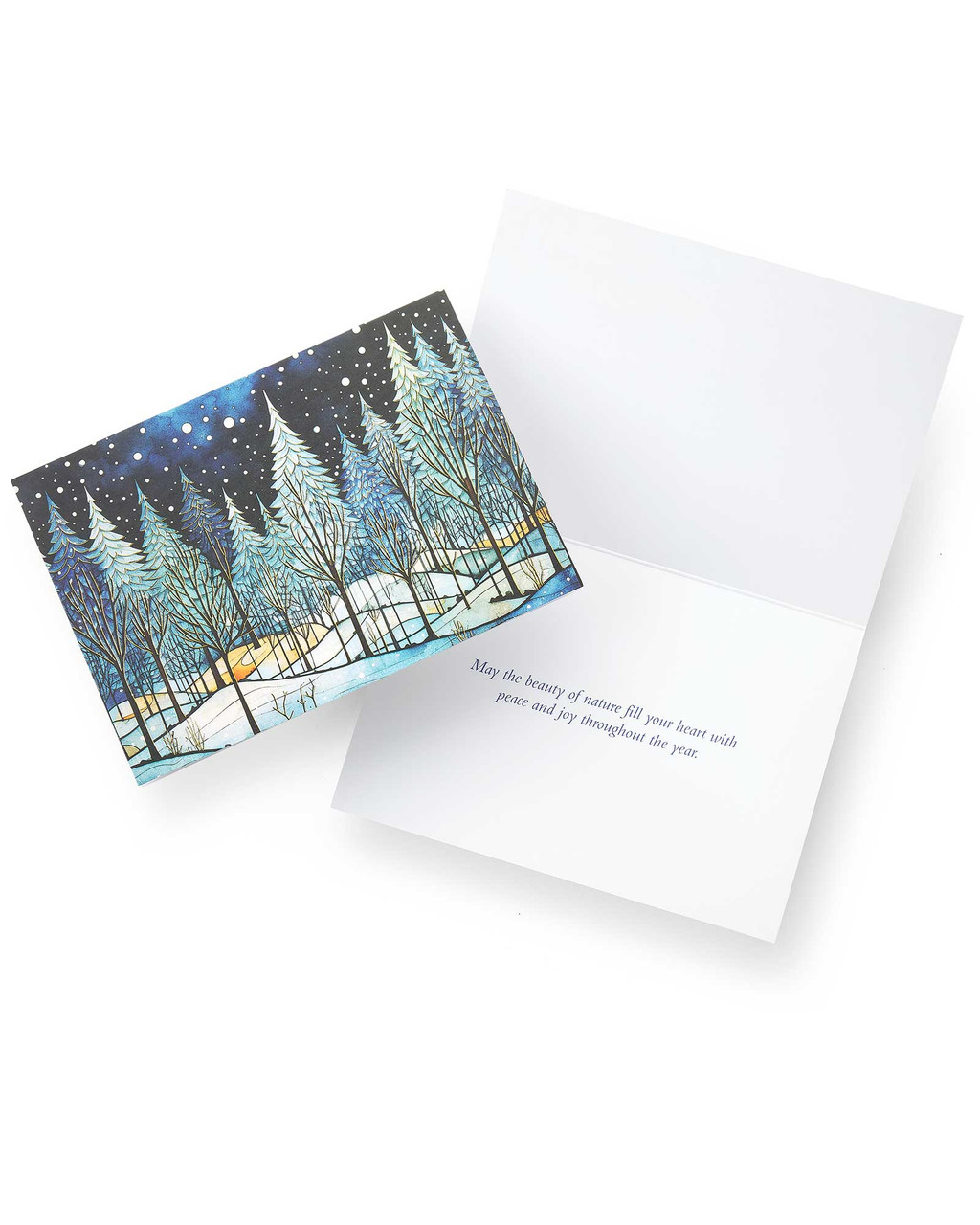 Winter Nightfall Holiday Cards | Shop Smithsonian Store
