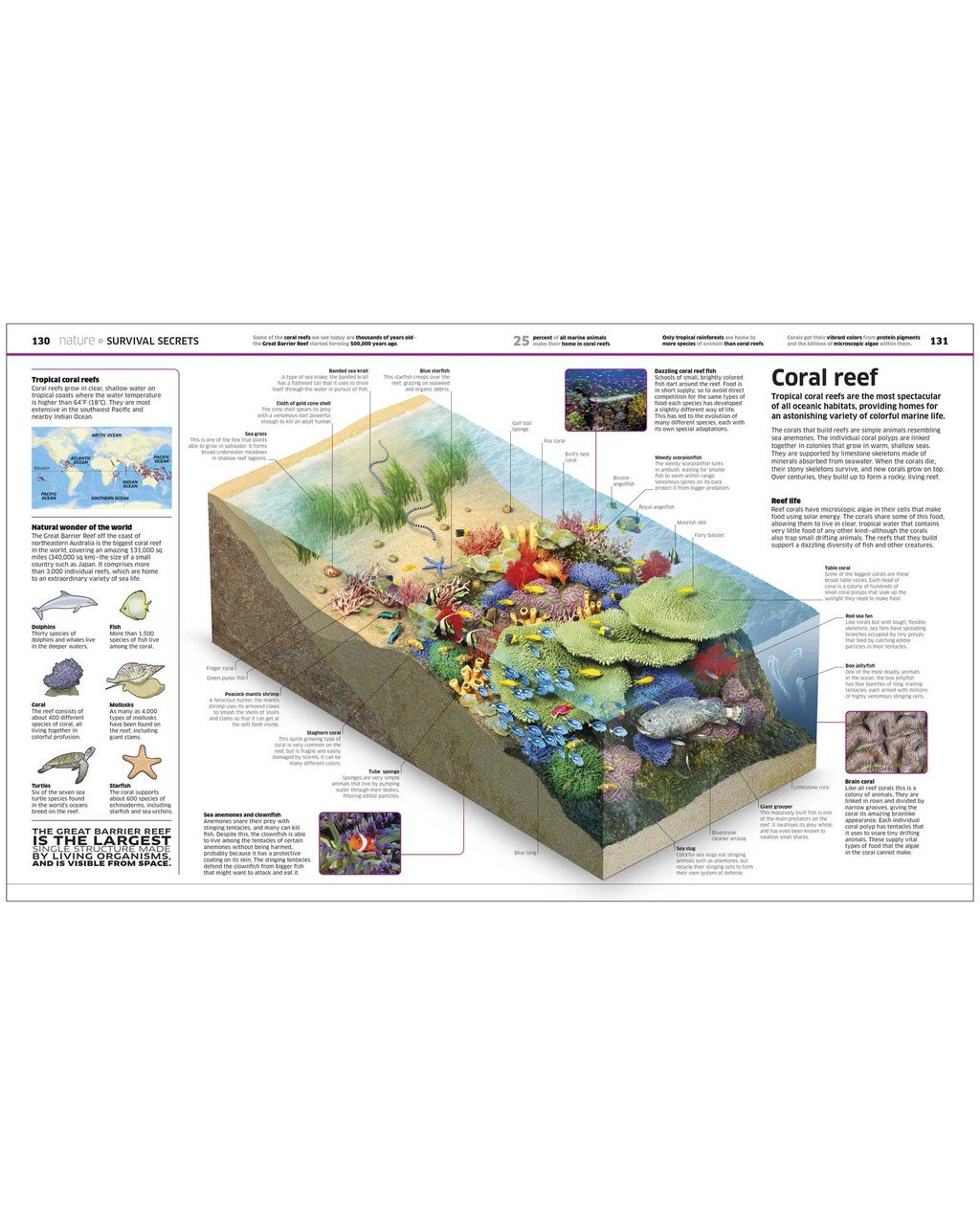 Knowledge Encyclopedia | Shop Smithsonian Store