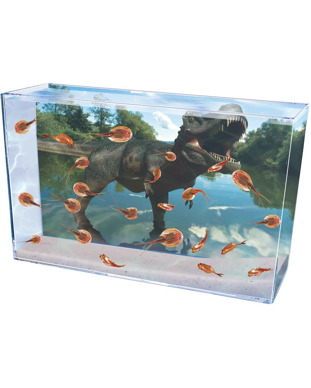 Prehistoric Sea Monsters Kit | Shop Smithsonian Store