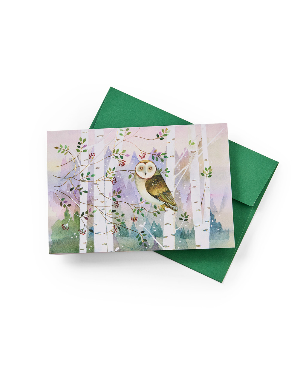 Cute Owl Christmas Cards | Shop Smithsonian Store