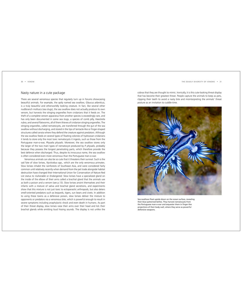 Venom: The Secrets of Nature's Deadliest Weapon | Shop Smithsonian Store