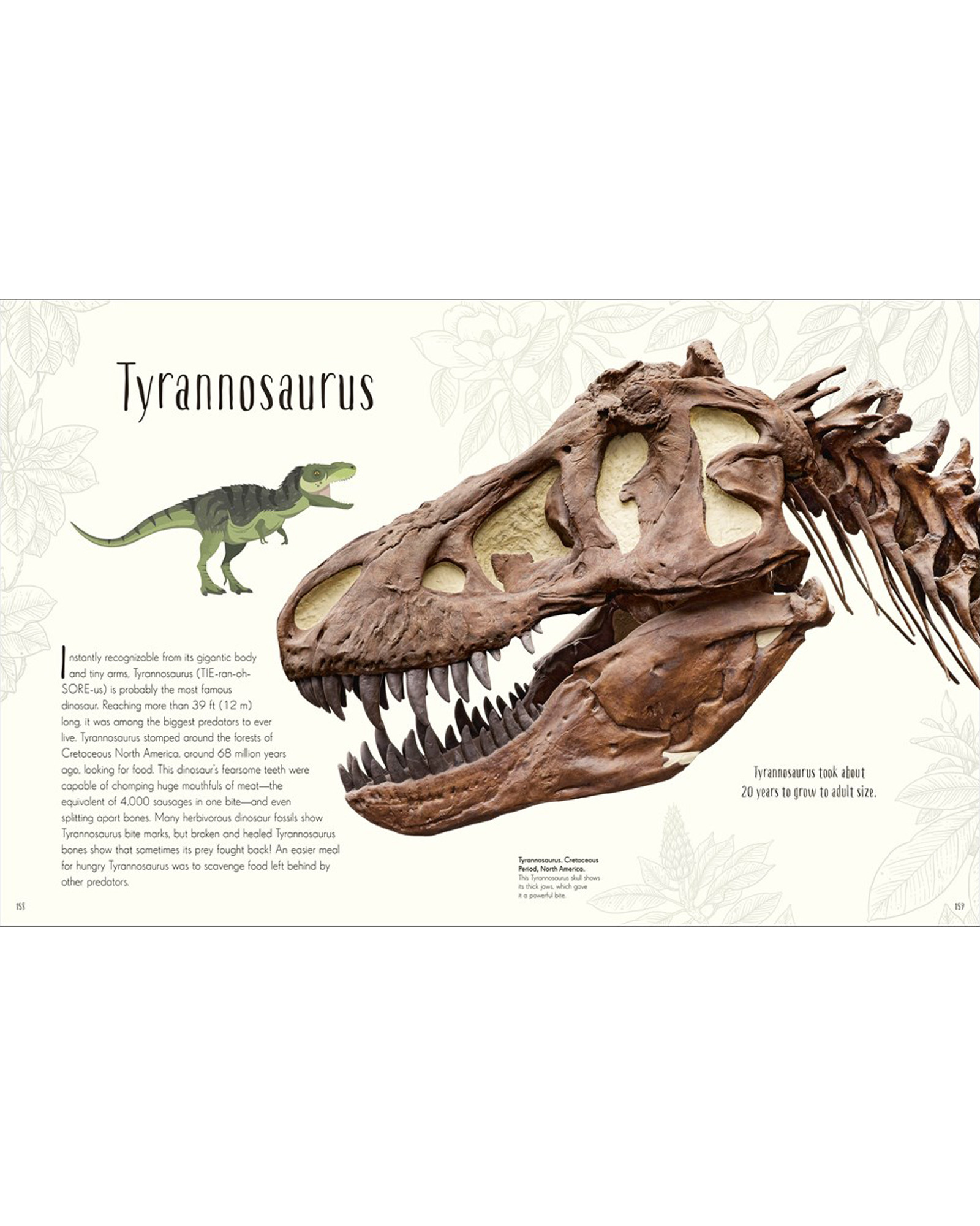 Dinosaurs and Other Prehistoric Life