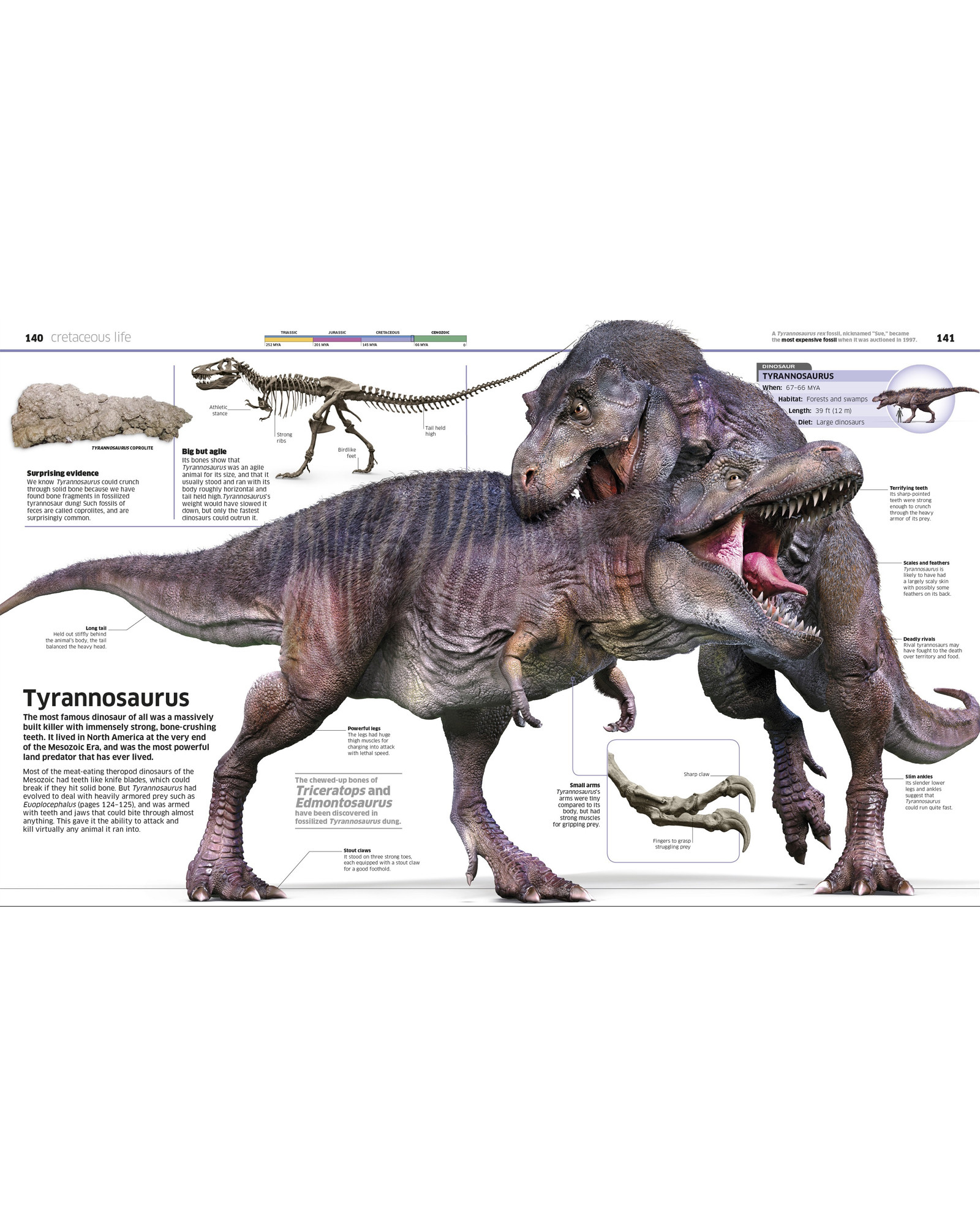 Smithsonian Dinosaur!