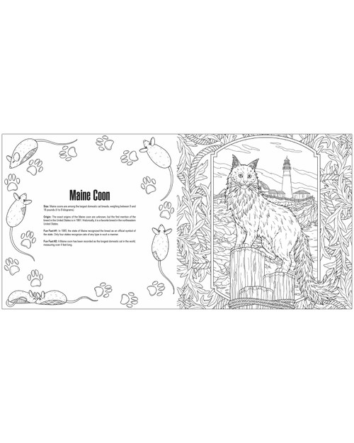 Cats: A Coloring Book | Shop Smithsonian Store