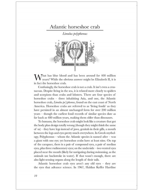 The Modern Bestiary | Shop Smithsonian Store