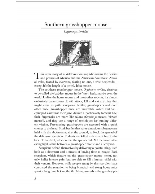 The Modern Bestiary | Shop Smithsonian Store