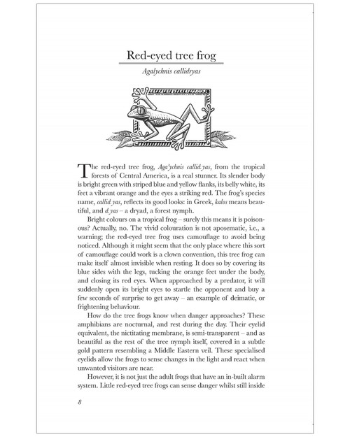 The Modern Bestiary | Shop Smithsonian Store