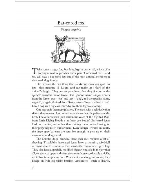 The Modern Bestiary | Shop Smithsonian Store