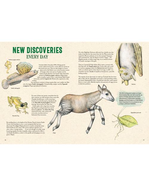 Extinctopedia