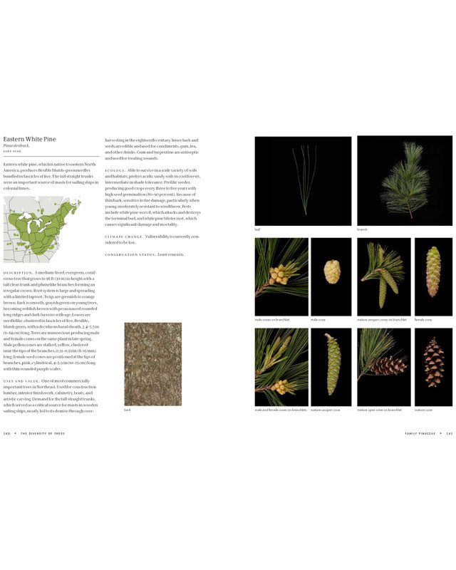 Smithsonian Trees of North America | Shop Smithsonian Store