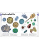 The Animal Book | Shop Smithsonian Store