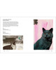 Artful Cats - An American Art Book | Shop Smithsonian Store