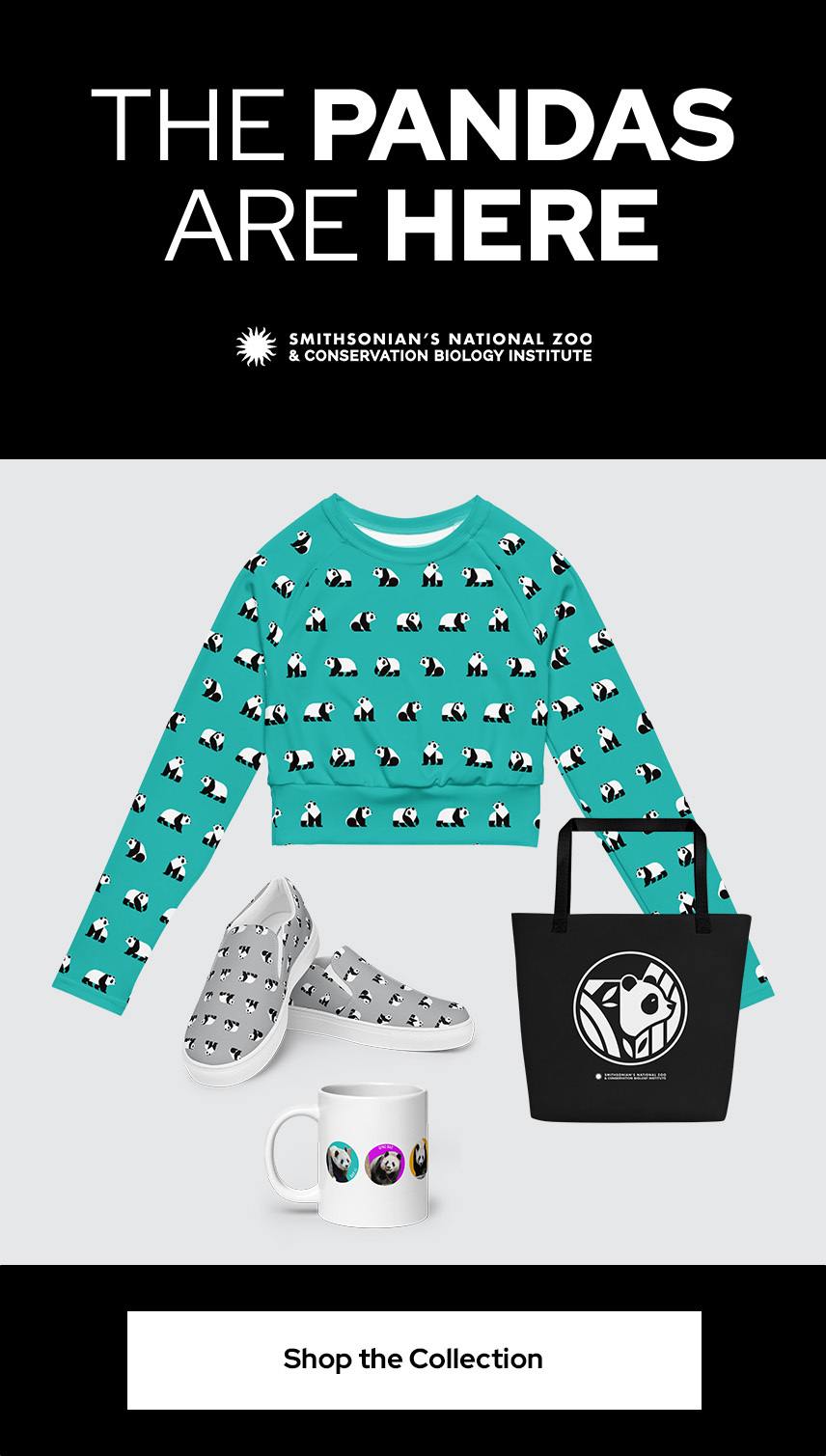 Smithsonian National Zoo - Panda Gift Shop | Museum Gift Shop