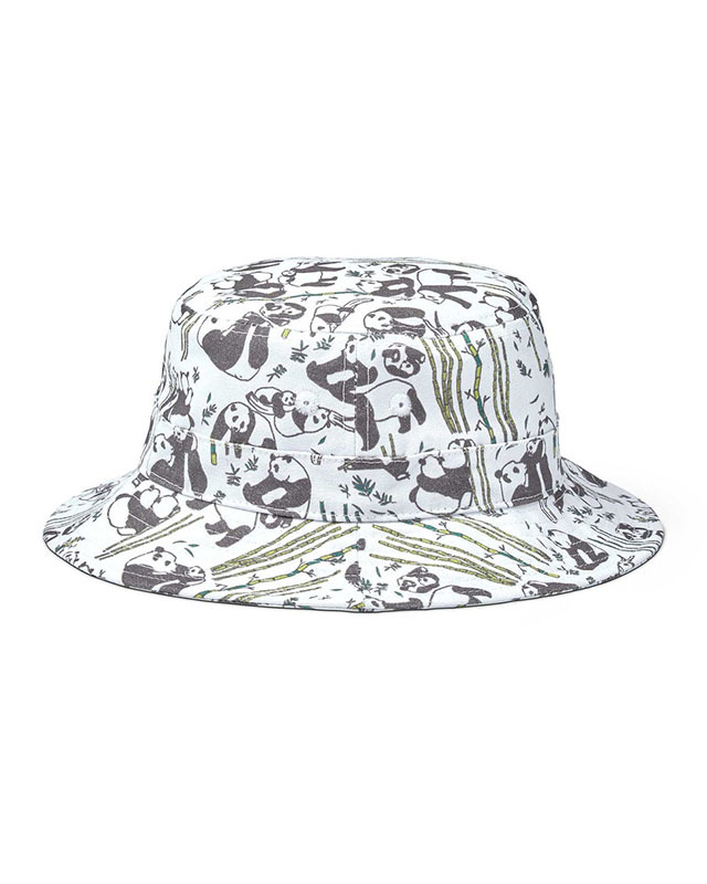 Smithsonian Online Catalog