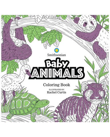 Baby Animals: A Coloring Book | Shop Smithsonian Store