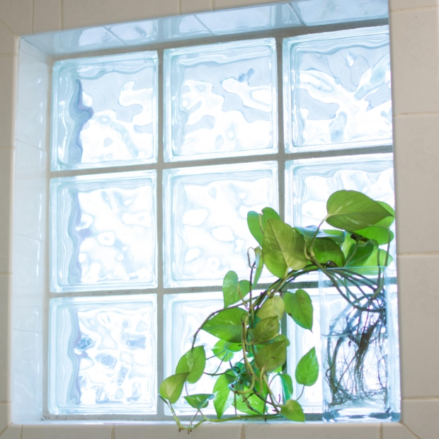 How to Use Bone Meal in Hydroponics - Dealzer Hydroponics