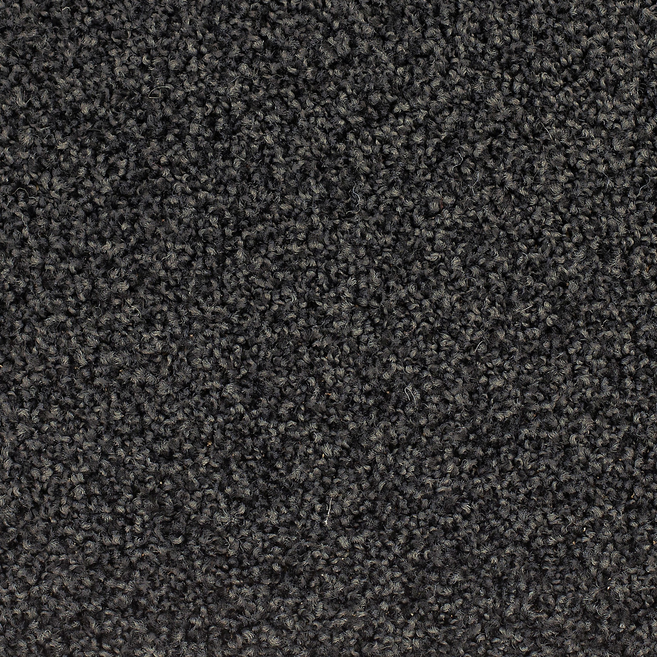 Carpet Sale Carpet