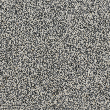 Carpet Sale Carpet