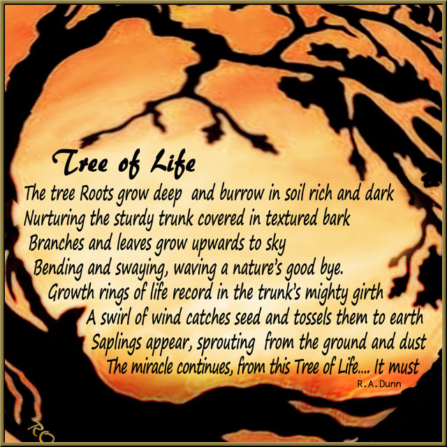 Tree of Life - Oberer’s Flowers