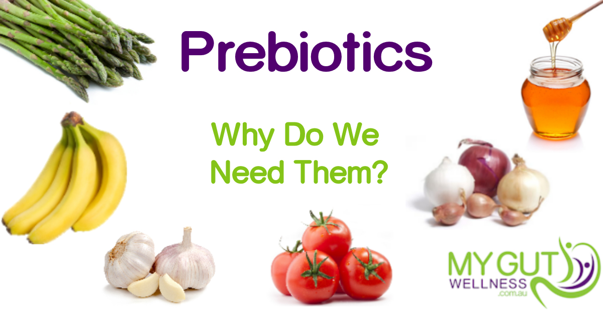 Why Prebiotic Supplements Are Necessary For Good Health - My Gut Wellness