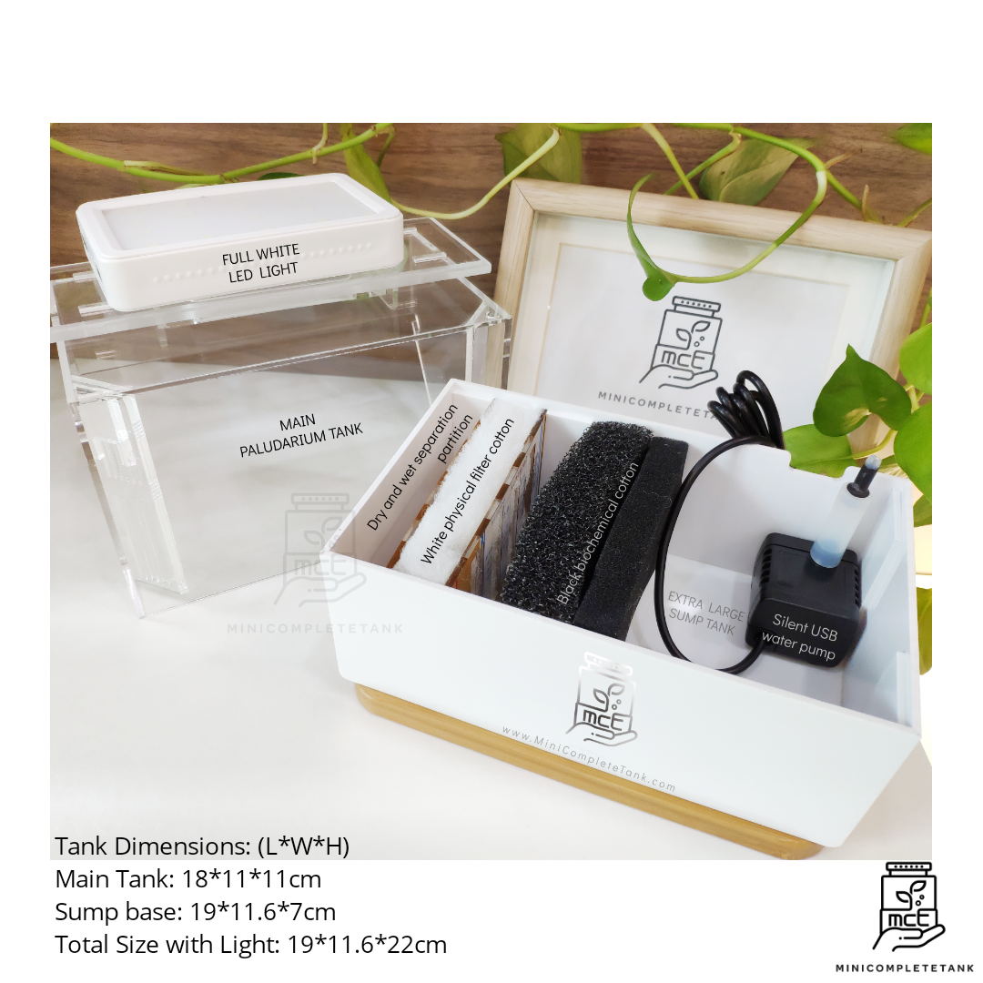 Mini Complete Paludarium Tank - Mini Complete Tank - the viral World's ...