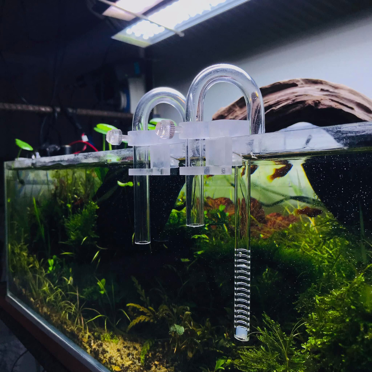 TRU Nano Mini Acrylic inFlow Outflow Lilypipes for nano aquarium ...