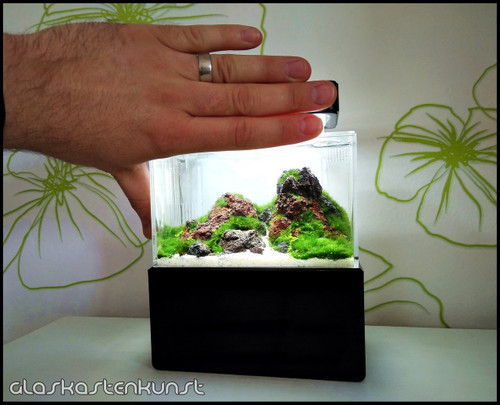 Mini Complete Tank - the Original viral World's Smallest All-in-One ...