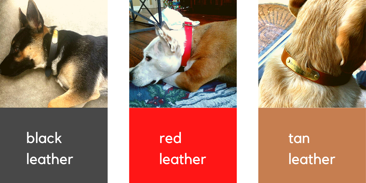 Stylish Design Dog Collars - Warner Pet Products